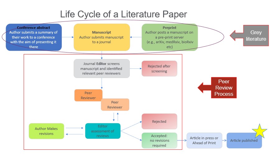 How does the lifecycle of a literature paper develop? | Embase Support ...