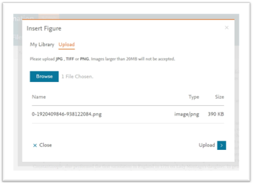 Elsa Training Guides for Editors and Authors - Journal Article ...