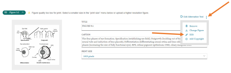 Elsa Training Guides for Editors and Authors - Journal Article ...