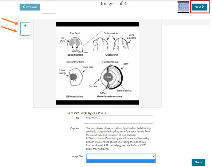 Elsa Training Guides for Editors and Authors - Journal Article ...