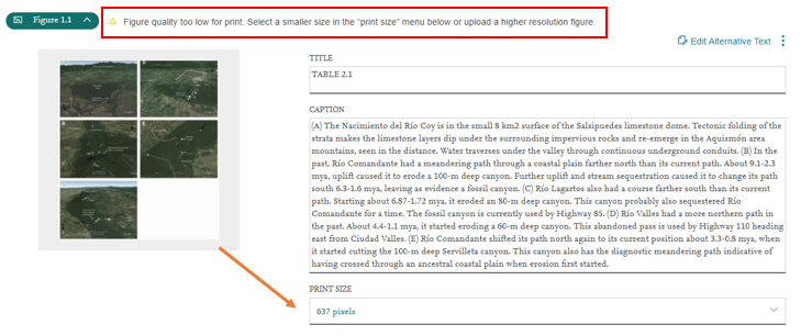 Elsa Training Guides for Editors and Authors - Journal Article ...